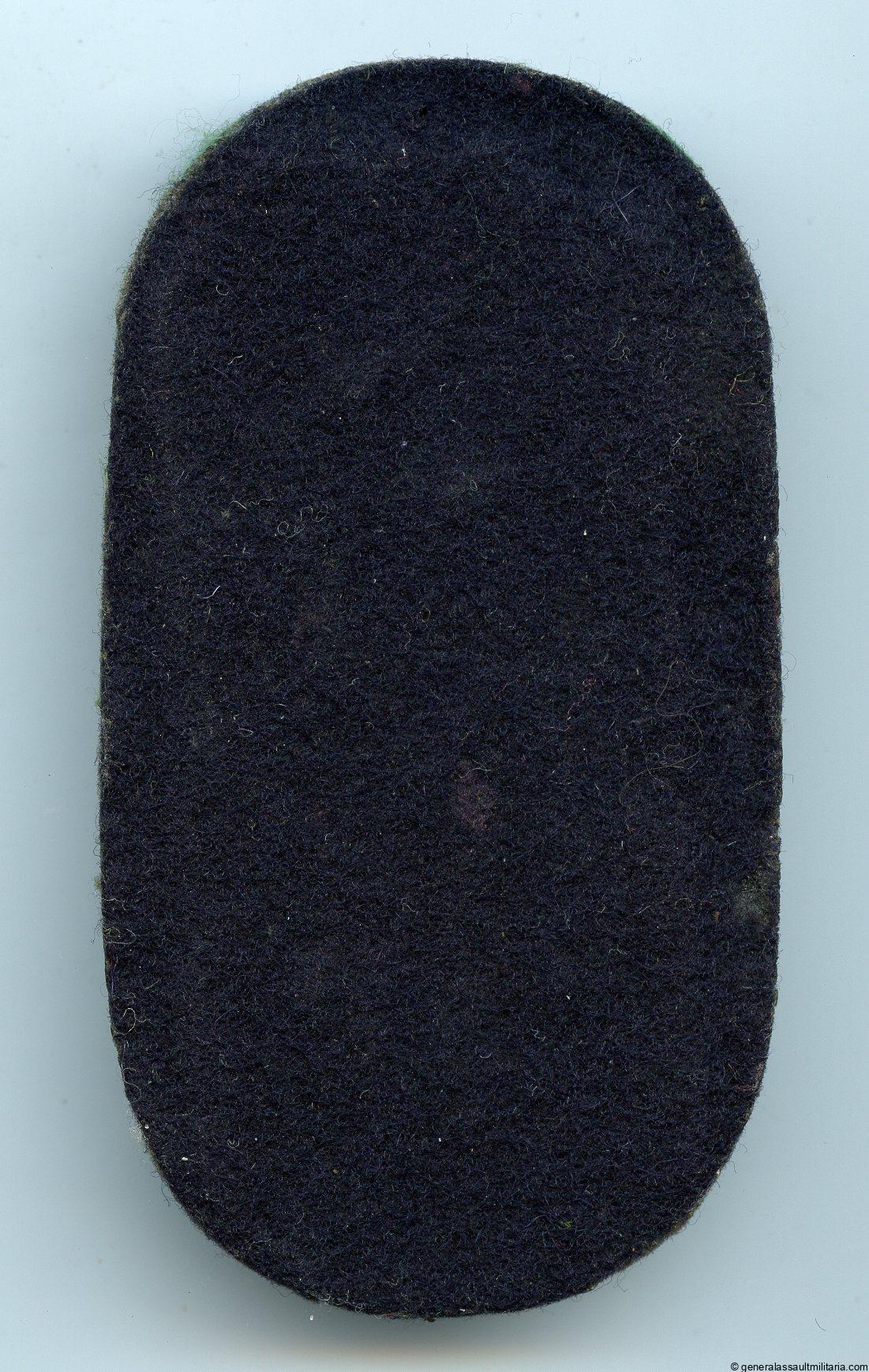 Luftwaffe Narvik shield - Cupal variant - Generalassaultmilitaria